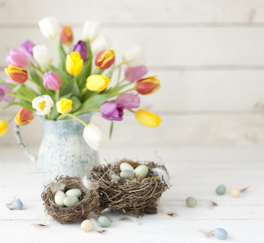 11 Easter Flowers & Plants With Special Meaning | LoveToKnow