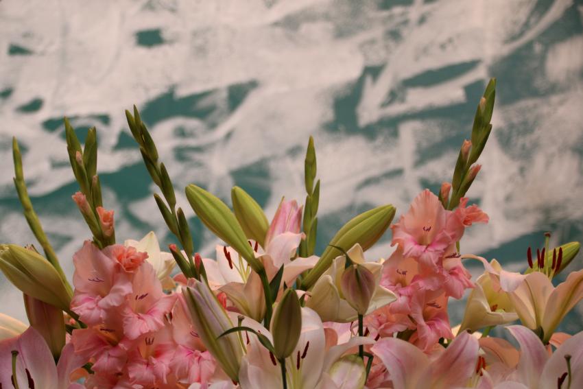 11 Easter Flowers & Plants With Special Meaning | LoveToKnow