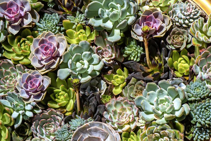 10 Minimalist Touches to Add to Your Garden for a Zen Vibe | LoveToKnow