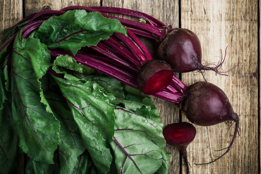 10 Unbeetable Beets Companion Plants for a Healthy Harvest | LoveToKnow