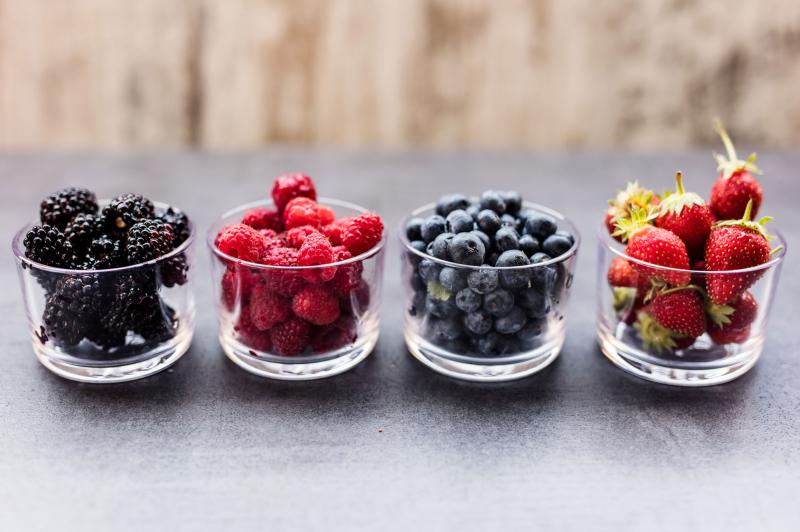Foraging Edible Berries: A Comprehensive Guide | LoveToKnow