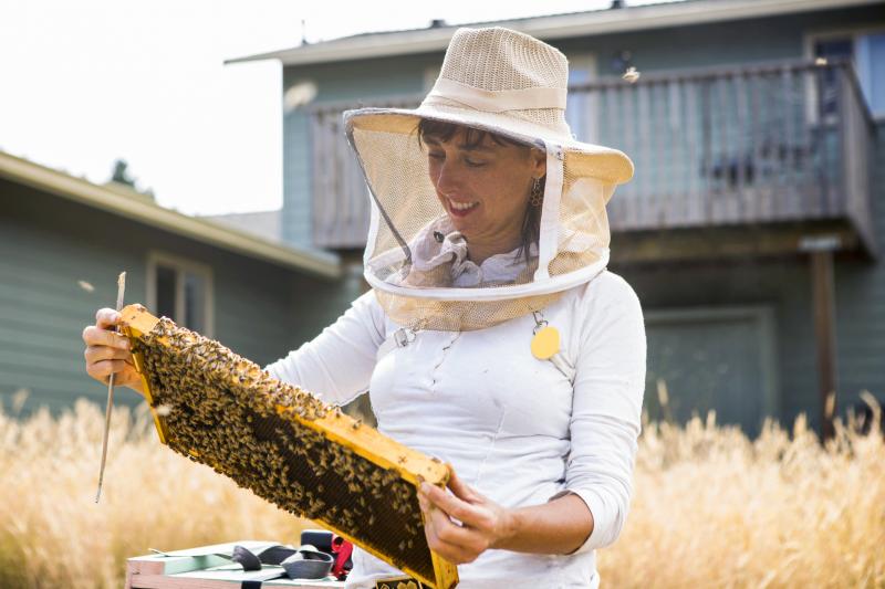 101 Bee Quotes That Are as Sweet as Honey | LoveToKnow