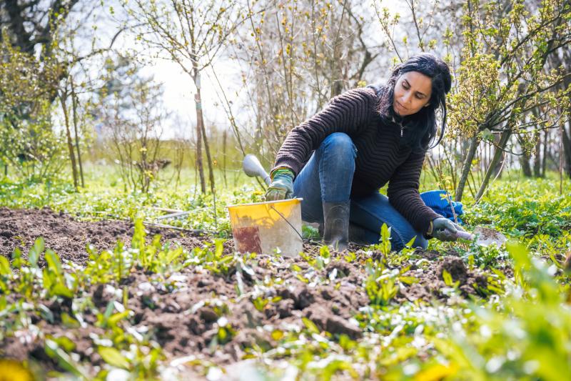 The Most Invasive Plants in Every State | LoveToKnow