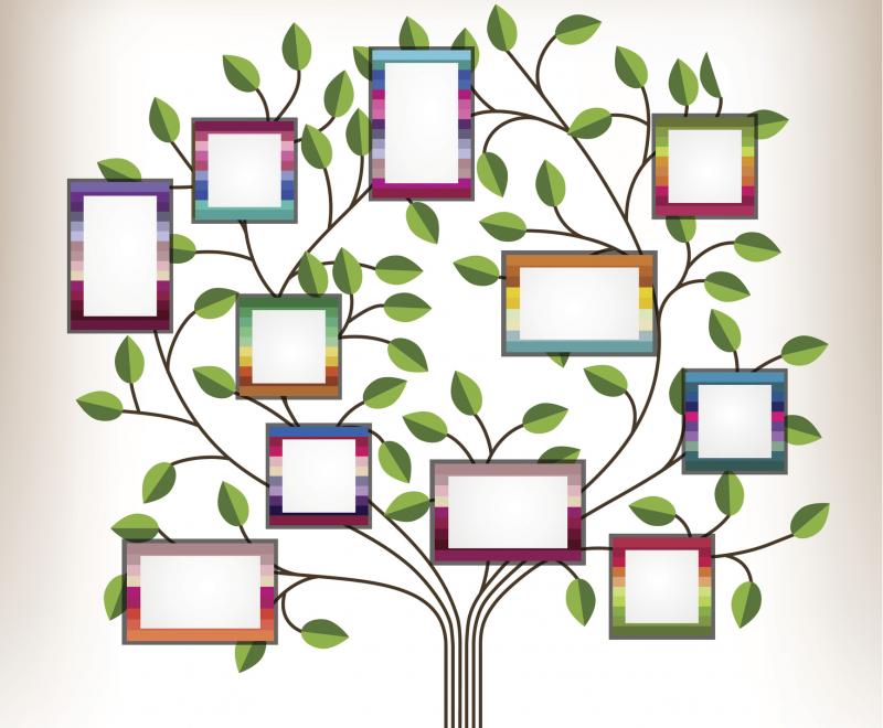 Family Tree Template For Kids LoveToKnow