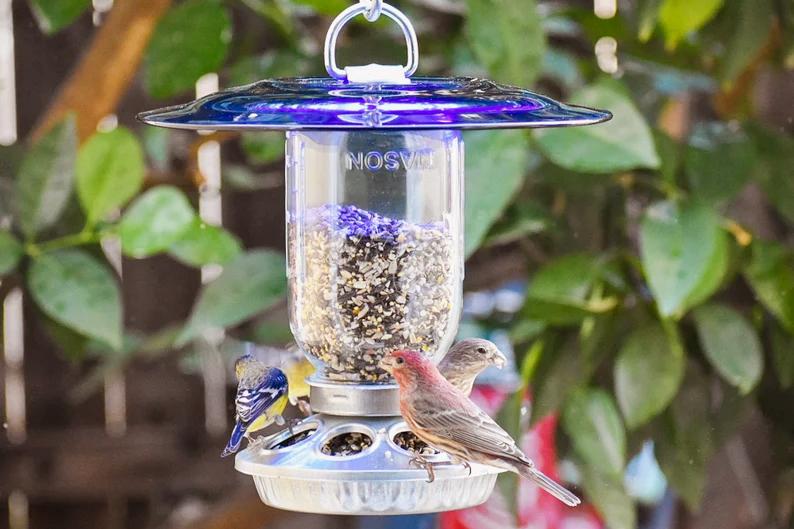 18 Ideas for Decor With Mason Jars That You Haven't Tried Yet | LoveToKnow