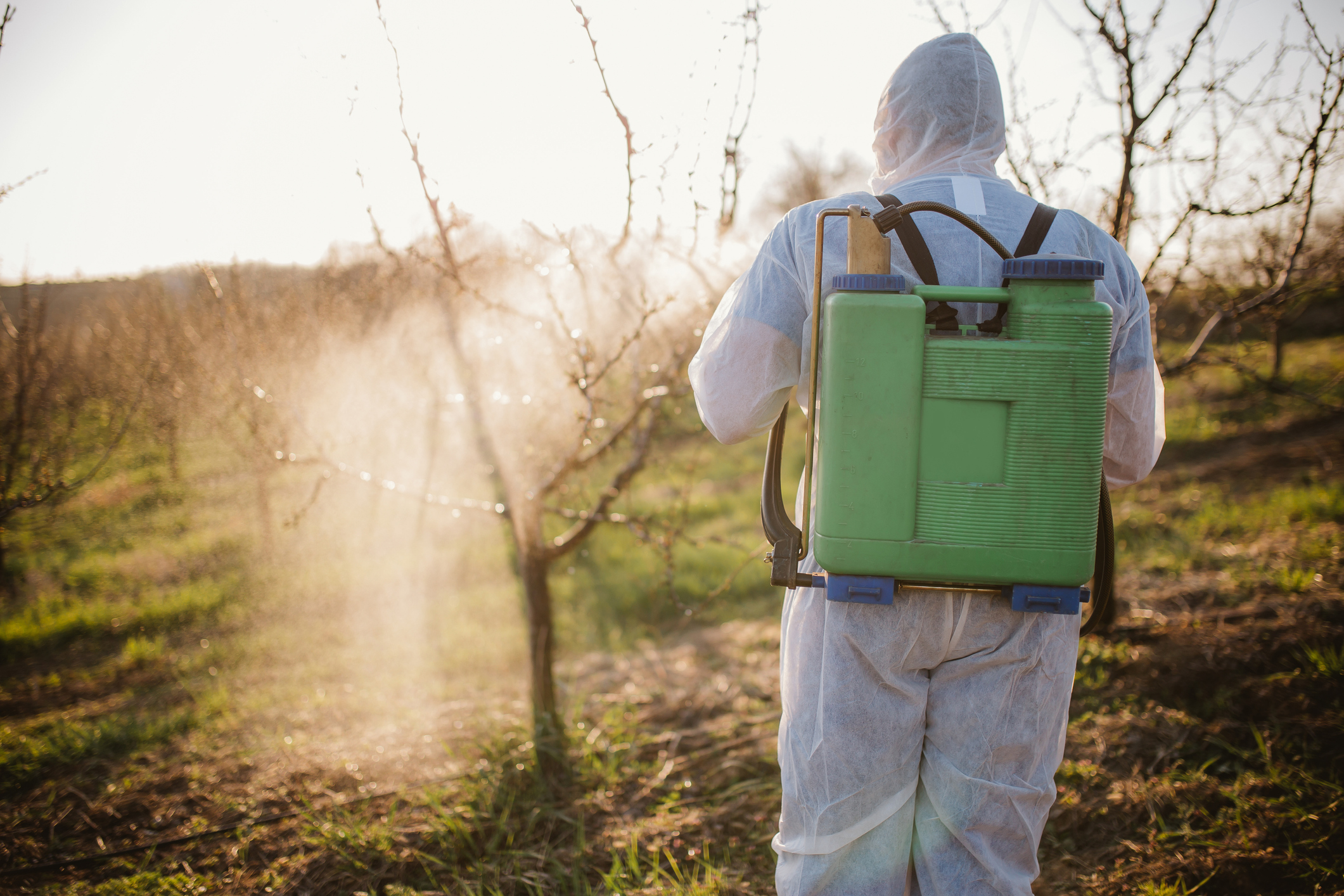 Homemade Mosquito Fogger Juice - Homemade Ftempo