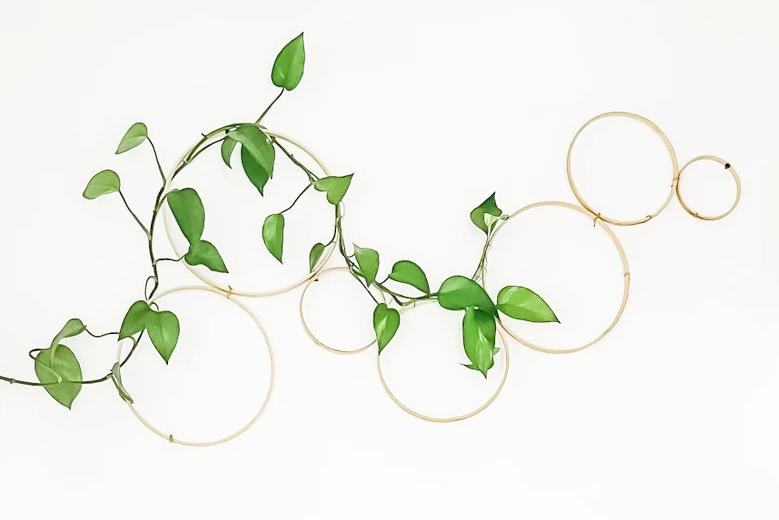 13 Trellis Ideas to Take Your Garden From Average to Show Stopping ...