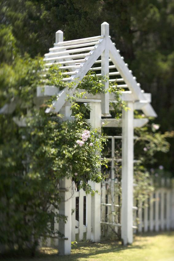 13 Trellis Ideas to Take Your Garden From Average to Show Stopping ...