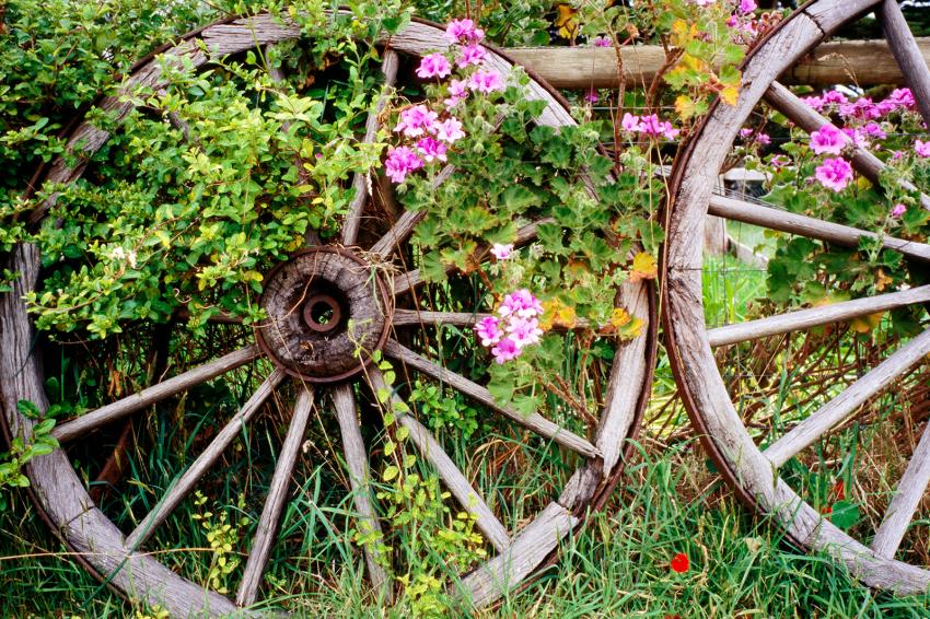 13 Trellis Ideas to Take Your Garden From Average to Show Stopping ...