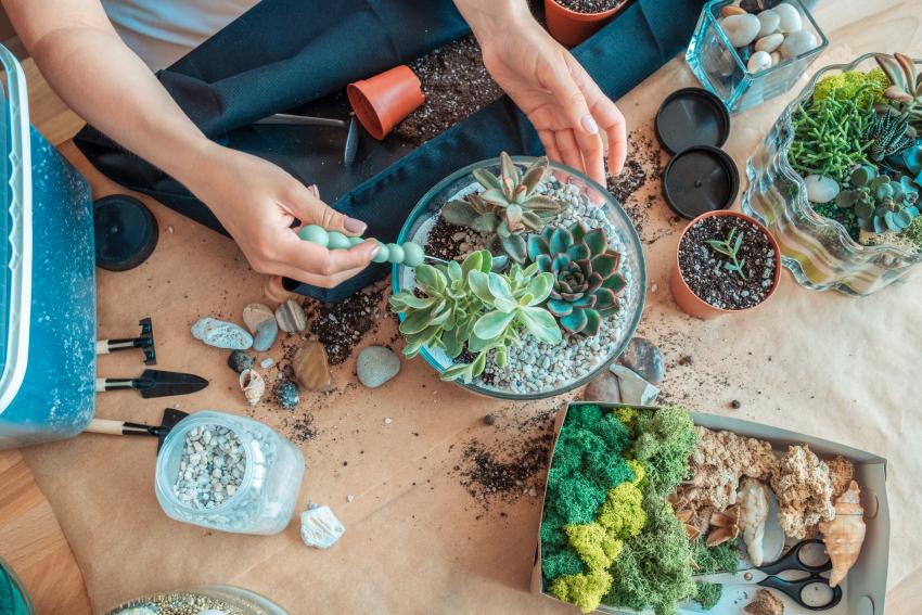 How to Arrange Houseplants for a Stylish Presentation | LoveToKnow