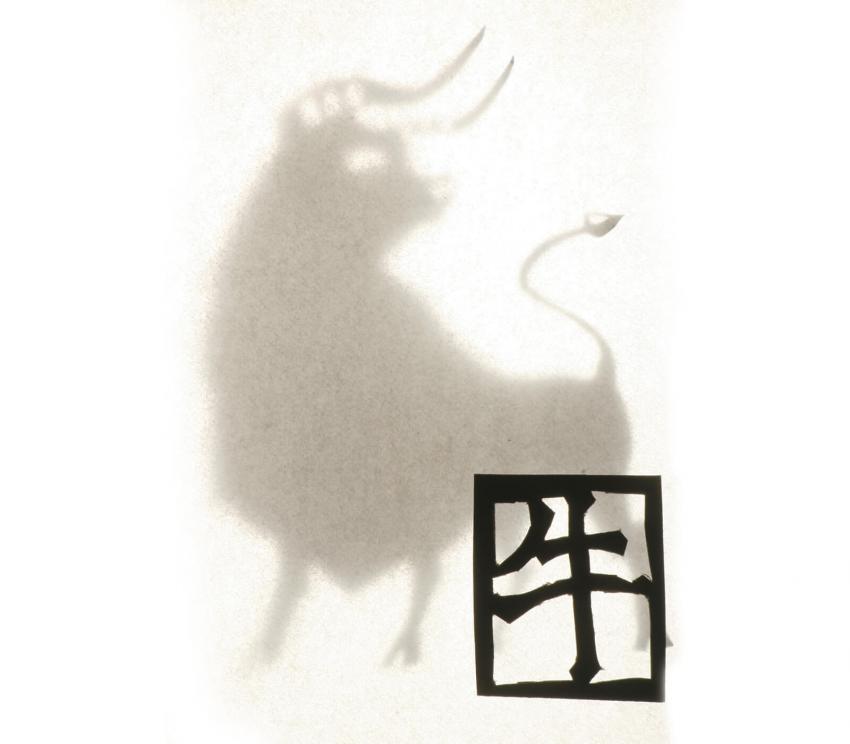 Understanding the 12 Chinese Zodiac Signs | LoveToKnow