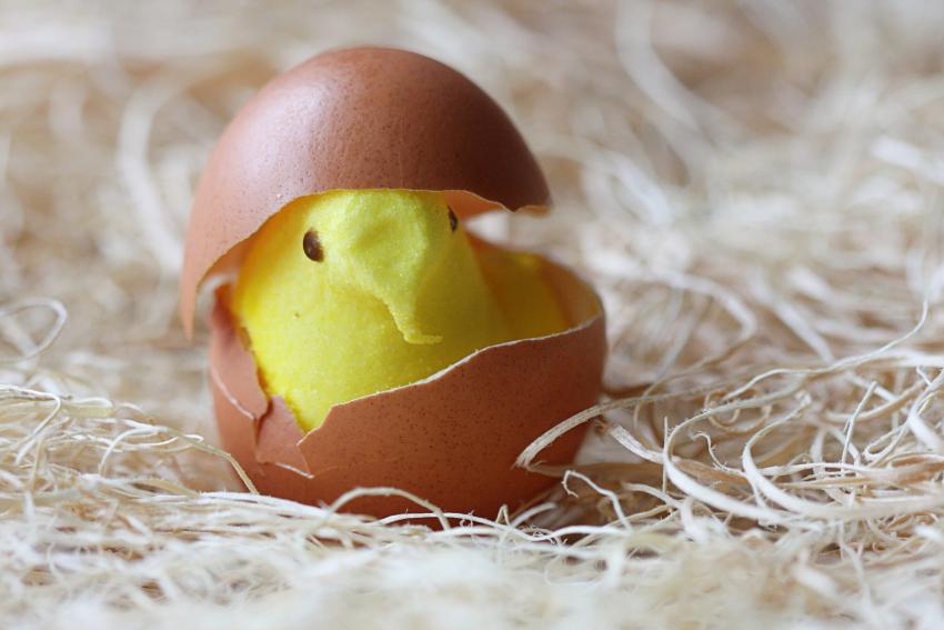 Take a Peep at What Easter Candy You Are Based on Your Zodiac Sign ...