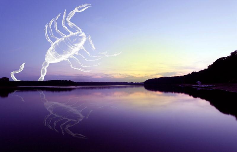 Exploring Scorpio's Deep Waters: Unveiling Emotional Intensity | LoveToKnow