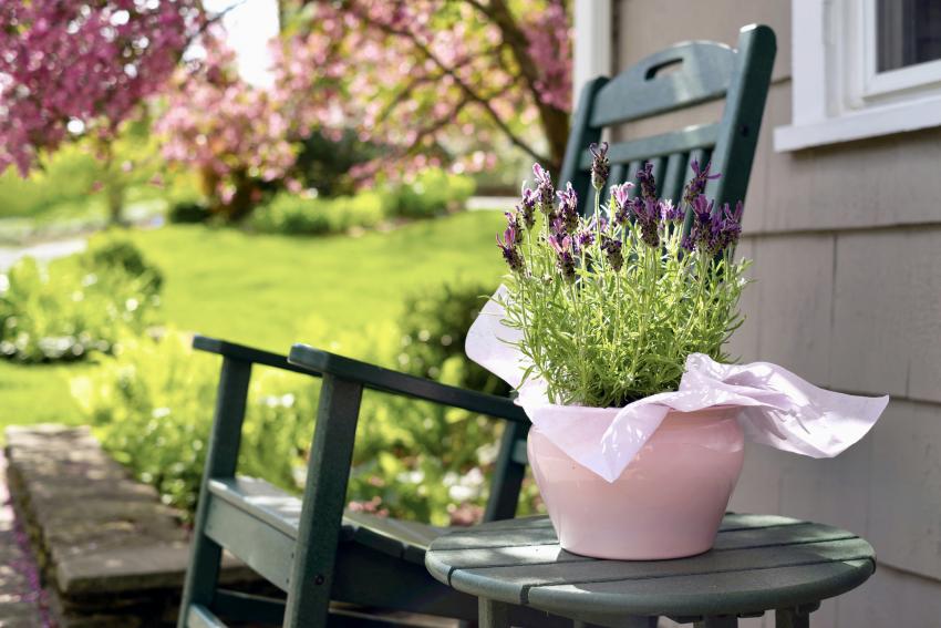 17 Spring Porch Decor Ideas to Refresh Your Outdoor Space | LoveToKnow