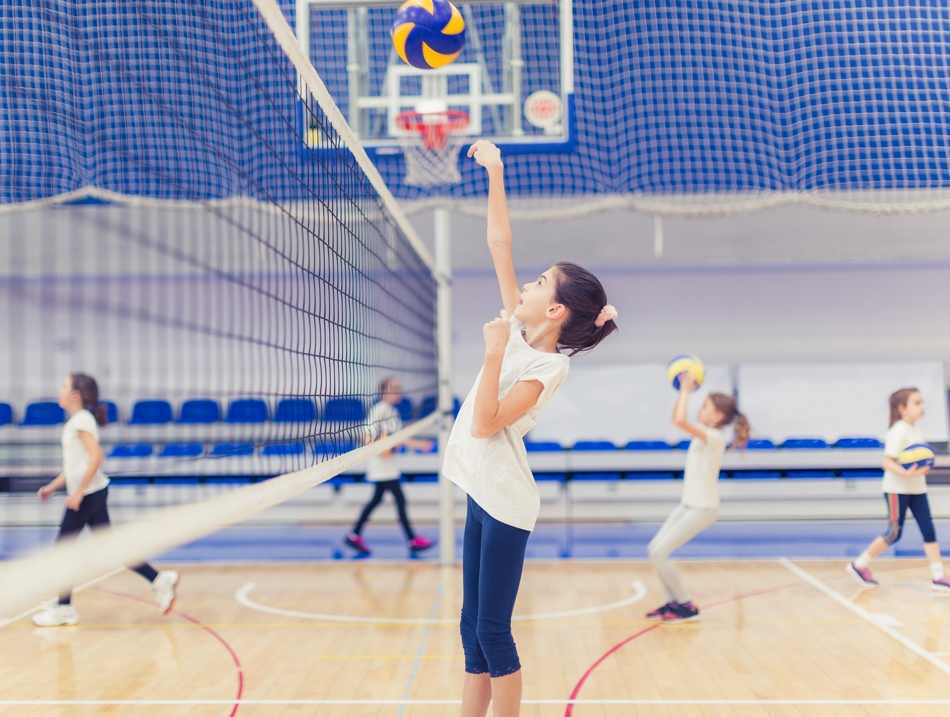 Volleyball Sports Complex Key Considerations SFA 50 OFF