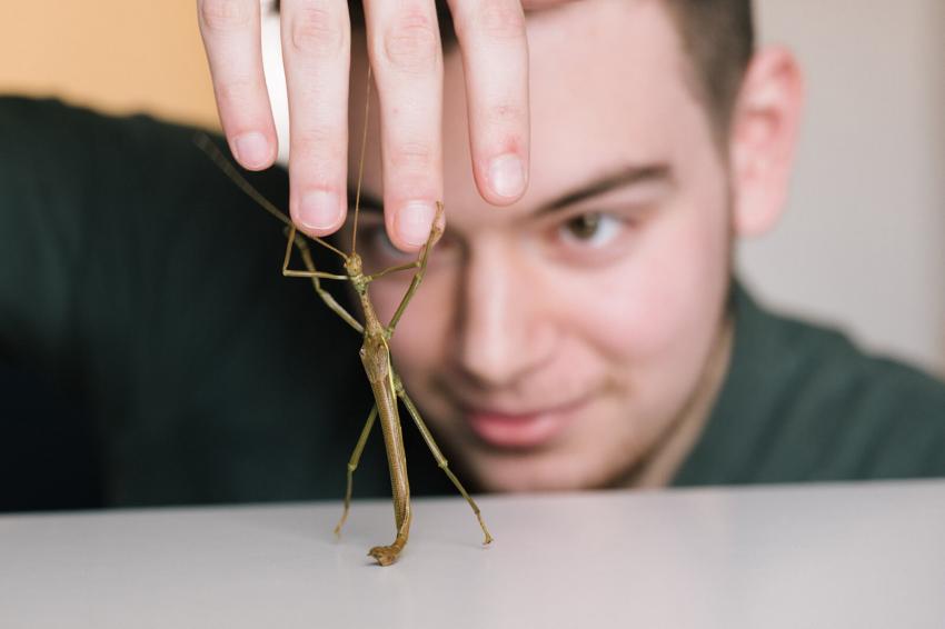 Office Pet Pros and Cons: Best Critters to Keep at Work | LoveToKnow Pets