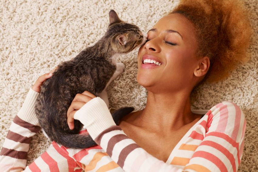 13 Signs You’re a Crazy Cat Person (Welcome to the Club!) | LoveToKnow Pets