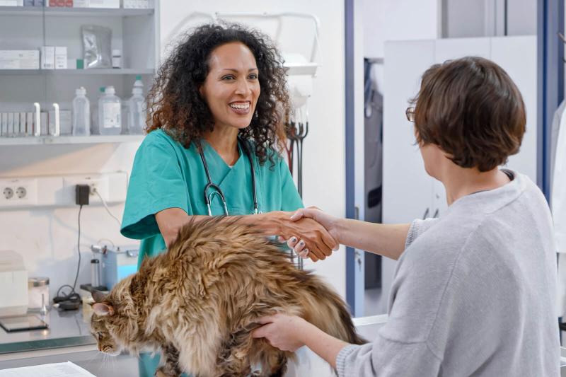 How to Make the Vet-Client-Patient Relationship a Good One | LoveToKnow ...