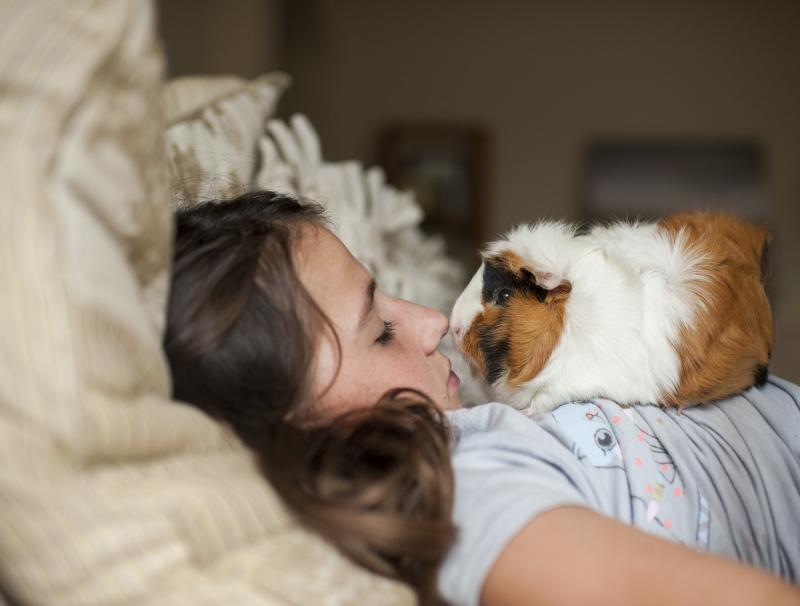 10 Best Low Maintenance Pets With Easy Care Requirements LoveToKnow Pets