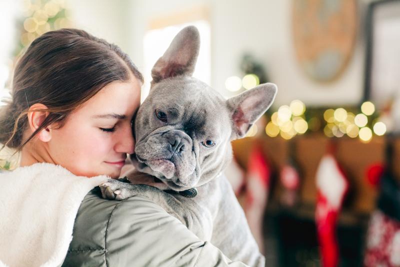 13 Blue Dog Breeds That Will Steal Your Heart | LoveToKnow Pets