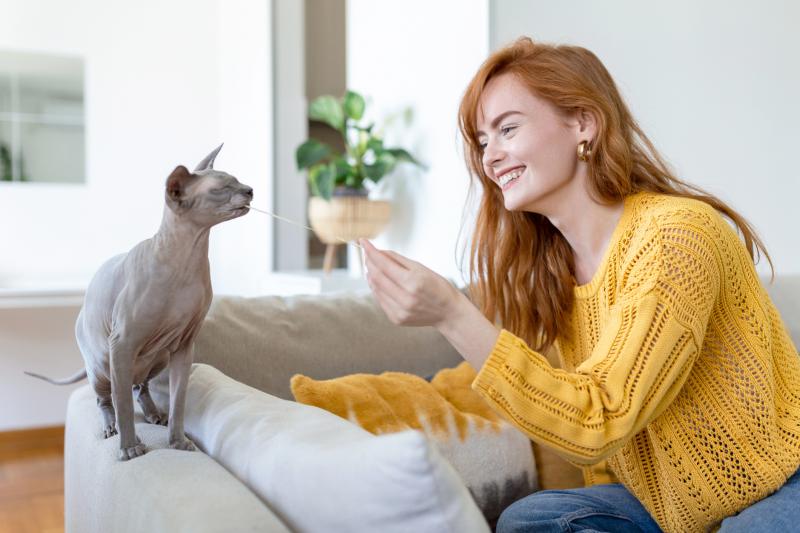 7 Non-Shedding Cat Breeds That Won’t Cover You in Hair | LoveToKnow Pets