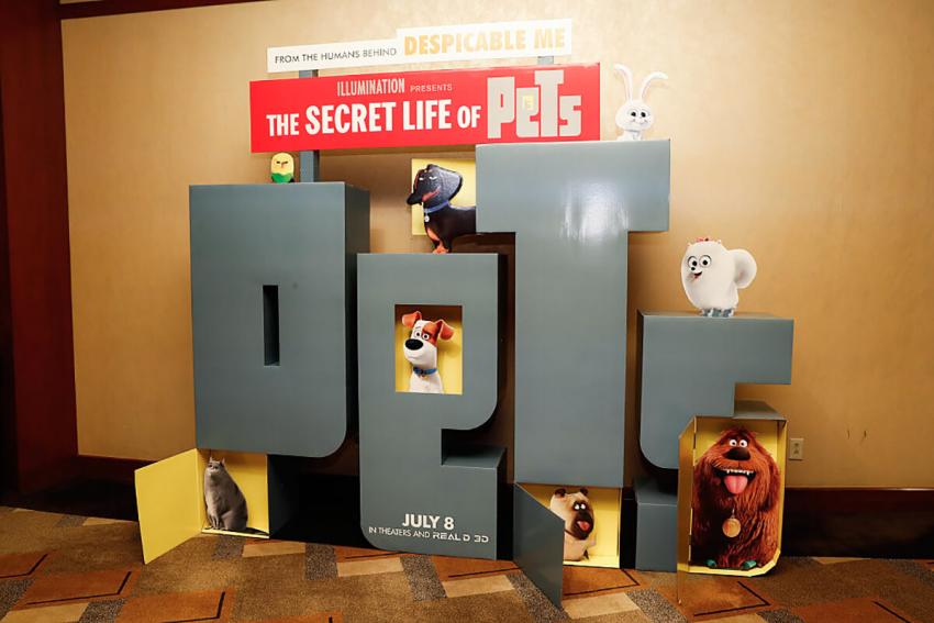 10 Must-See Dog Movies for Animal-Loving Families | LoveToKnow Pets