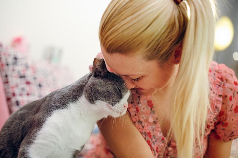 21 Ways to Help Cats Say “Happy Birthday” to Their Humans | LoveToKnow Pets