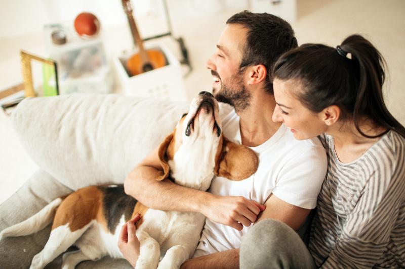 30+ Quotes to Tell the World Your Dog is Your Best Friend | LoveToKnow Pets