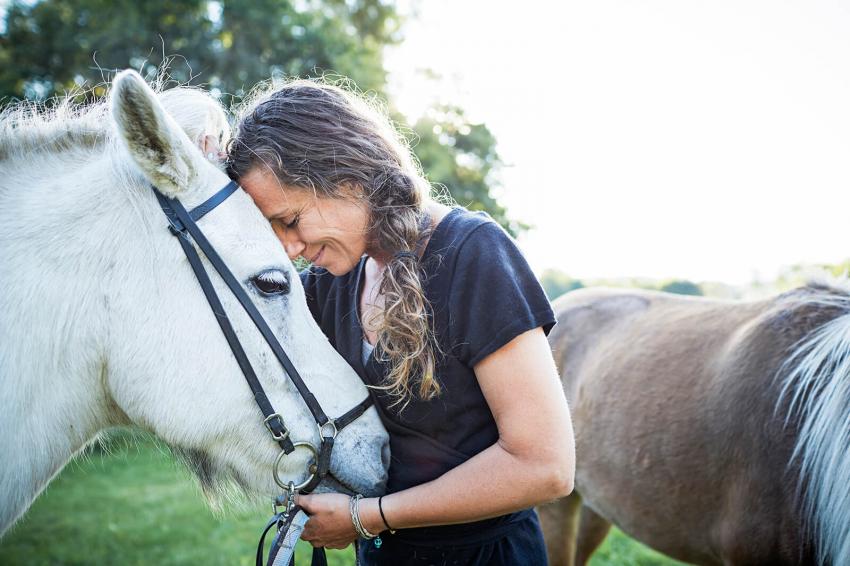 12 Most Popular Animals People Keep as Pets | LoveToKnow Pets