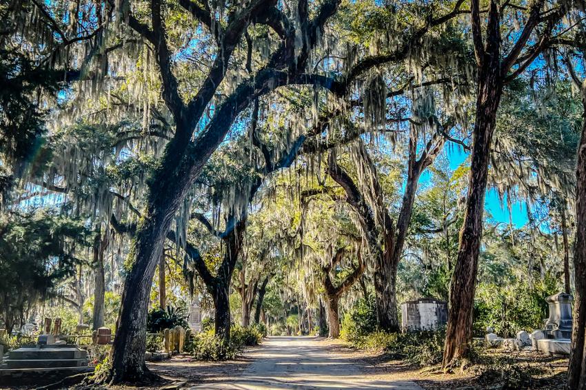 13 of the Most Famous & Fascinating Cemeteries in the U.S. | LoveToKnow
