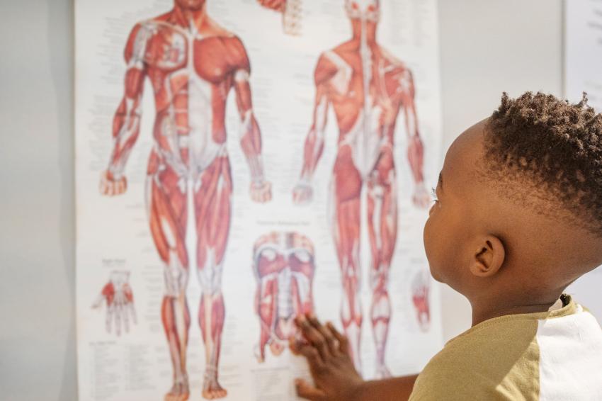 19 Weird Facts About the Human Body That Will Make You Reexamine ...