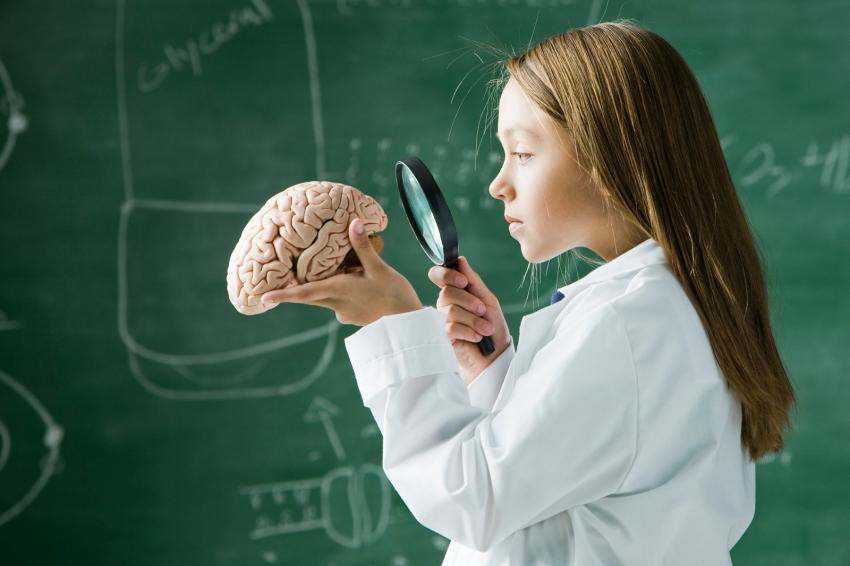 19 Weird Facts About the Human Body That Will Make You Reexamine ...