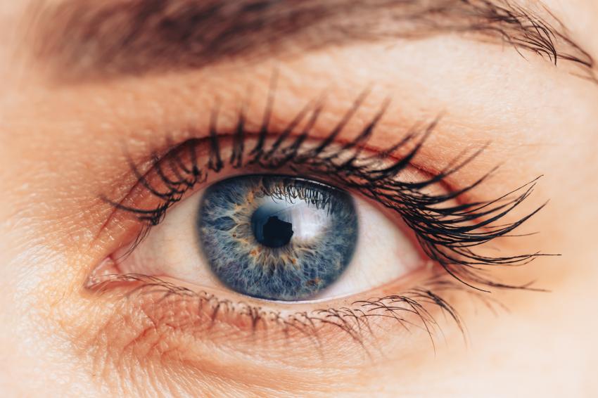 19 Weird Facts About the Human Body That Will Make You Reexamine ...