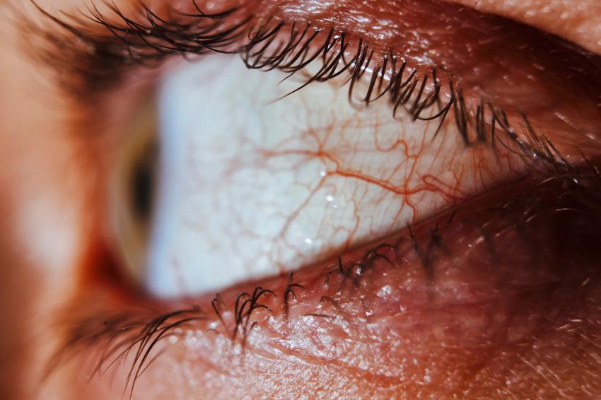 19 Weird Facts About the Human Body That Will Make You Reexamine ...