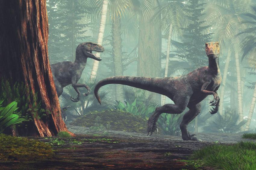 10 Most Popular Dinosaurs in History and Their Surprising Attributes ...