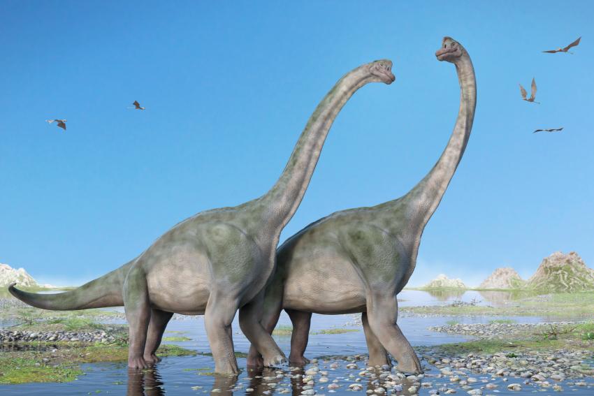 10 Most Popular Dinosaurs in History and Their Surprising Attributes ...
