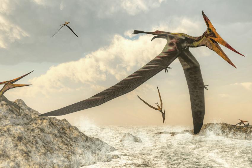 10 Most Popular Dinosaurs in History and Their Surprising Attributes ...