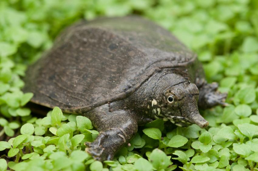 18 Unbelievable Weird Facts Funny Enough to Break Any Silence | LoveToKnow