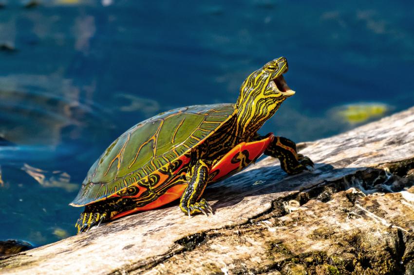 18 Unbelievable Weird Facts Funny Enough to Break Any Silence | LoveToKnow