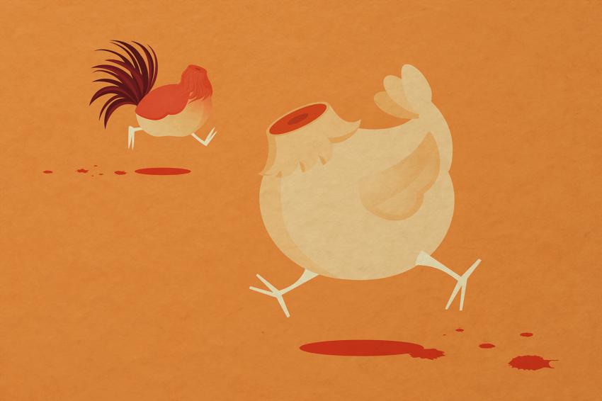 18 Unbelievable Weird Facts Funny Enough to Break Any Silence | LoveToKnow