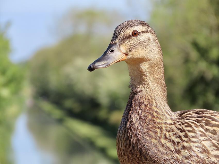 18 Weird Phobias That Sound Ridiculous, But Are Very Real | LoveToKnow