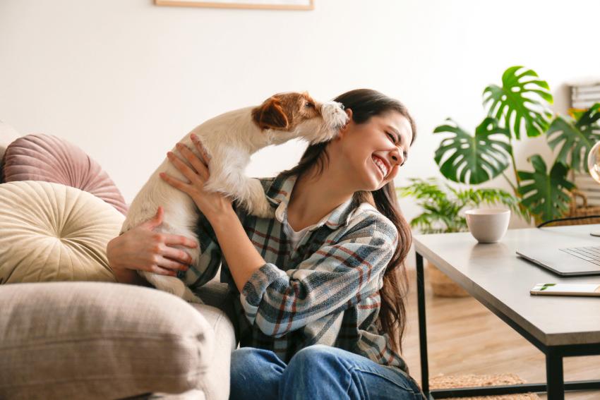 15 Genius Dog Life Hacks Every Dog Owner Should Know | LoveToKnow