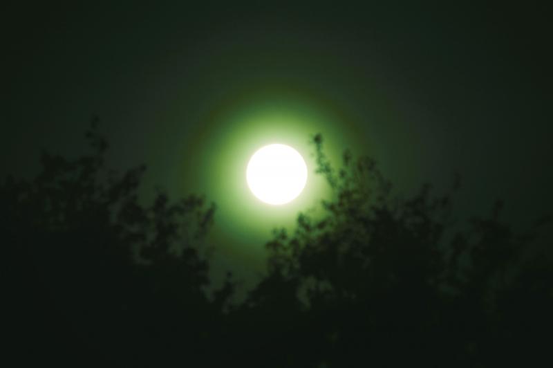 Green Orb Meanings: The Spiritual Messages They Bring | LoveToKnow