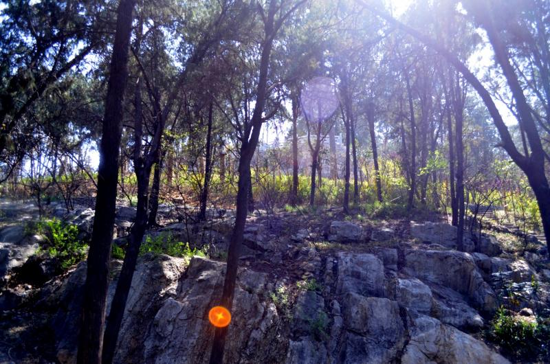 Ghost Orb Colors & Their Meanings: Messages From Spirit | LoveToKnow