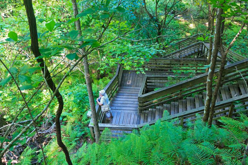 Haunted Waterfalls in Florida to Explore: The Natural & Spooky | LoveToKnow