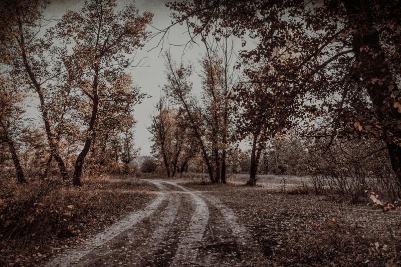 10 Best Haunted Places in Connecticut for Ghost Hunters to Explore ...