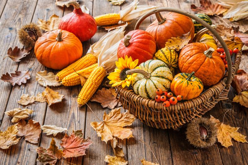 Fall Into Fun With October Trivia Questions & Answers | LoveToKnow