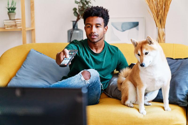 12 Famous TV Dogs & Why We Love Them | LoveToKnow