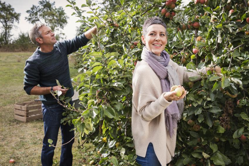 These 16 Apple Picking Outfit Ideas Are Stylish to the Core | LoveToKnow