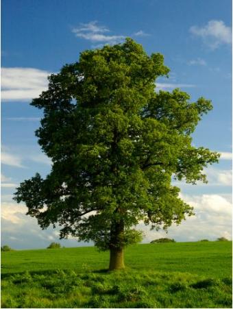 Birth Month Gifts Your Loved One Will Cherish All Year Long | LoveToKnow